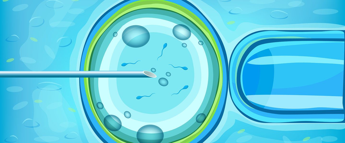 Embryo Guarantee on Donor Eggs | Ovoria Egg Bank