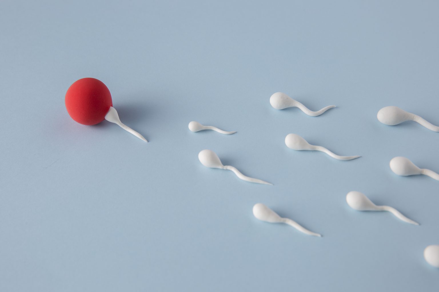 Artificial Insemination - Methods, Success Rates, Costs, and More